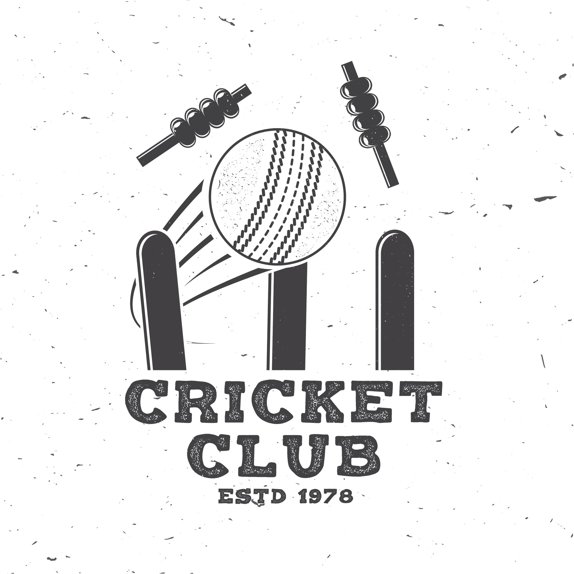 Cricket Fever - Borotech