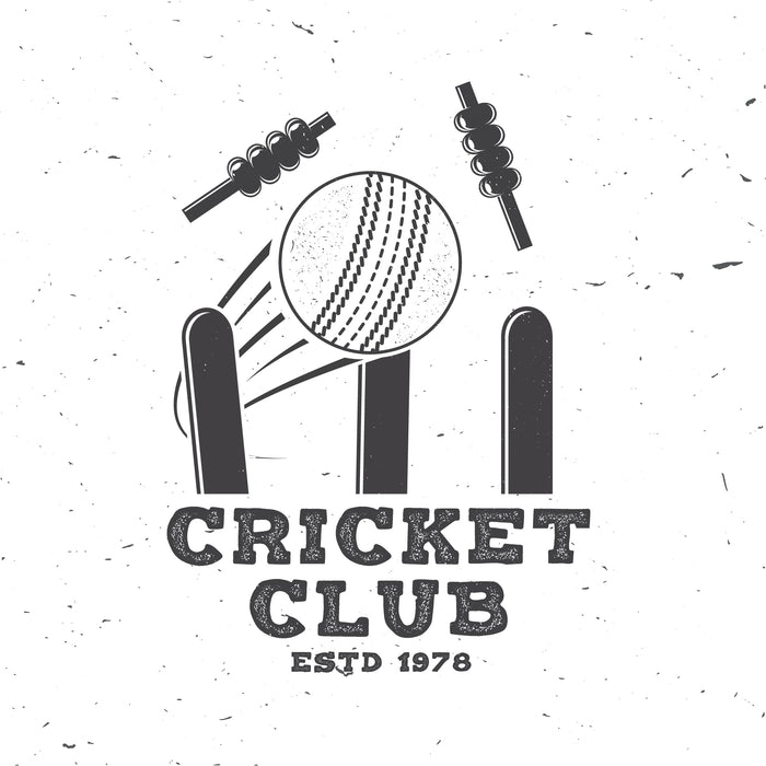 Cricket Fever - Borotech